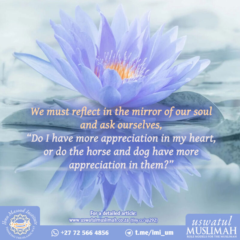 A Lesson in Loyalty – Uswatul Muslimah